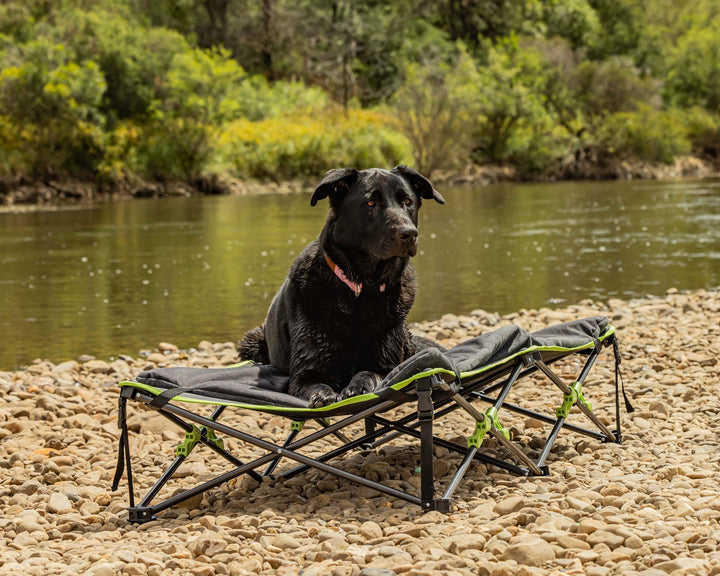Foldable Dog Bed - Extra Large – IRONMAN 4X4 Australia