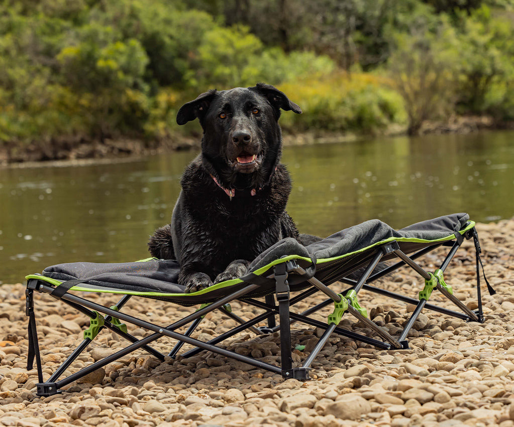 Camping Dog Beds & Accessories – IRONMAN 4X4 Australia