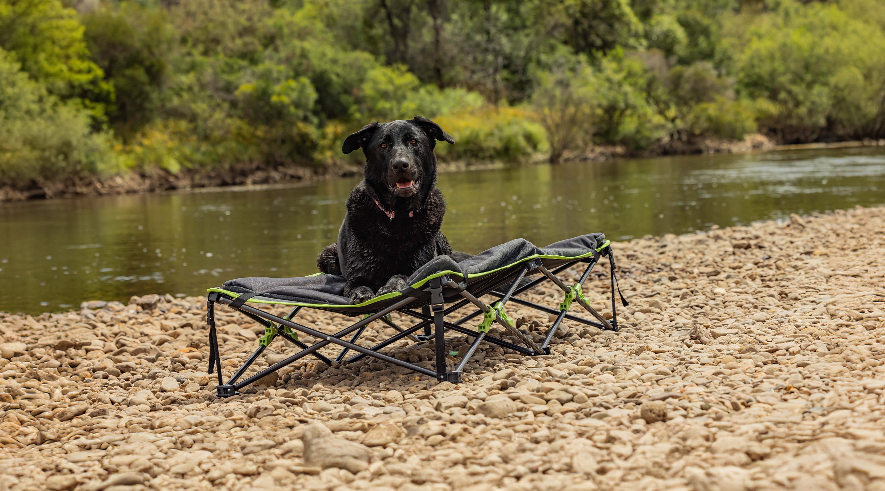 Camping Dog Beds Accessories Ironman 4x4 IRONMAN 4X4 Australia Camping Dog Beds Accessories Ironman 4x4 IRONMAN 4X4 Australia